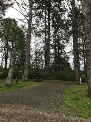 Photo of Copalis River RV Park | Roadtrippers