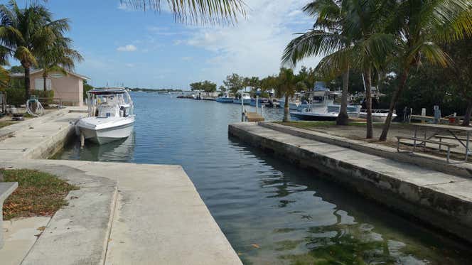 Photo of Boyd's Key West Campground | Roadtrippers