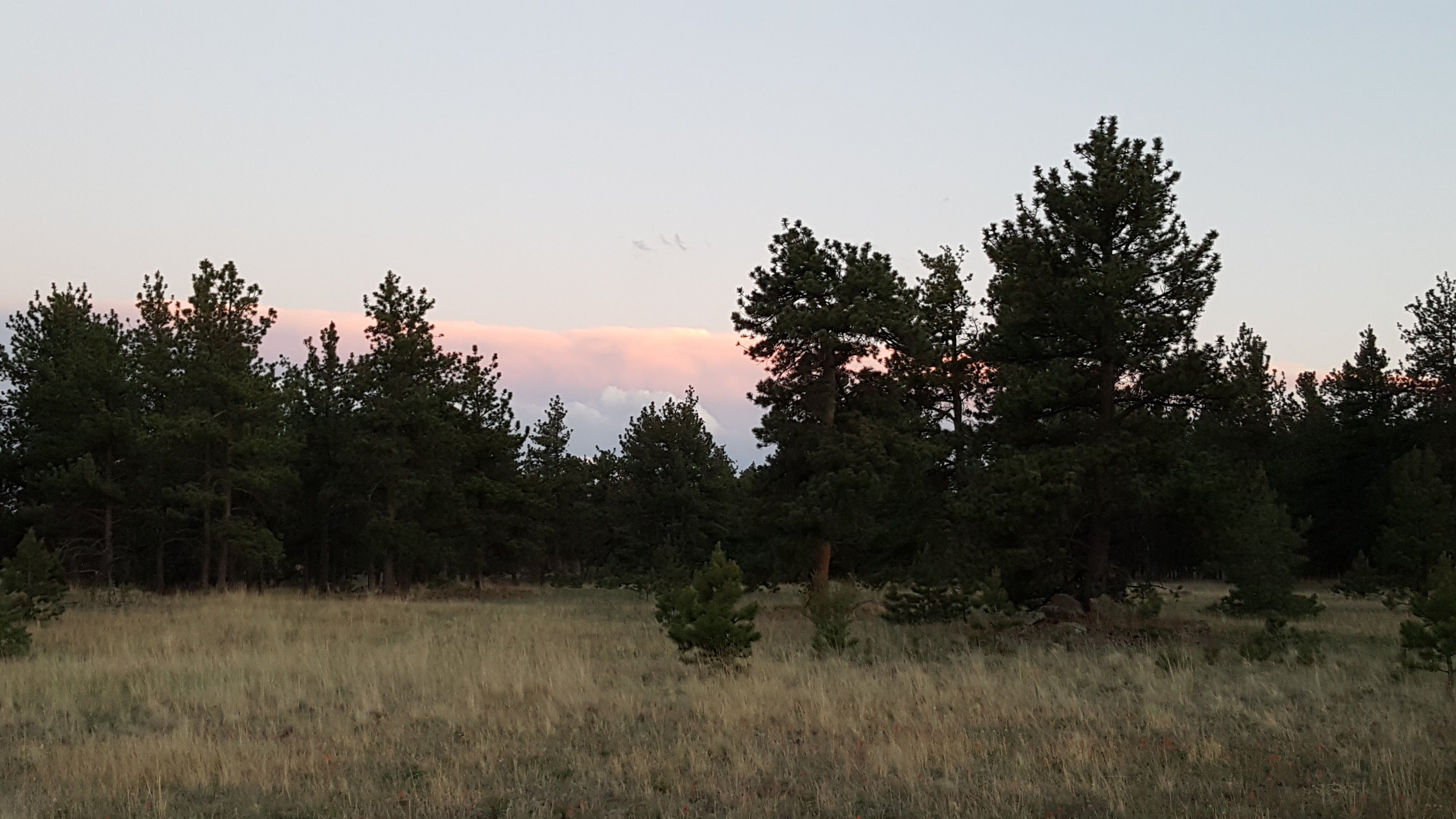 Thorpe Gulch Dispersed Camping, Lake George | Campendium