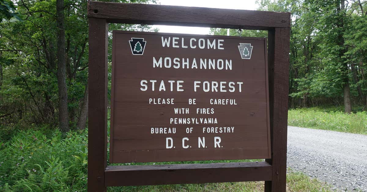 Shaggers Inn Camping Area, Clearfield | Roadtrippers