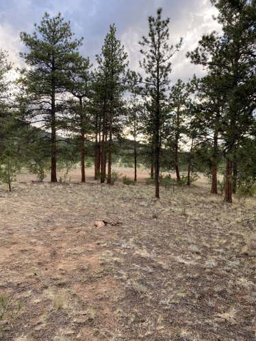 Photo of Badger Flats Dispersed Camping | Roadtrippers