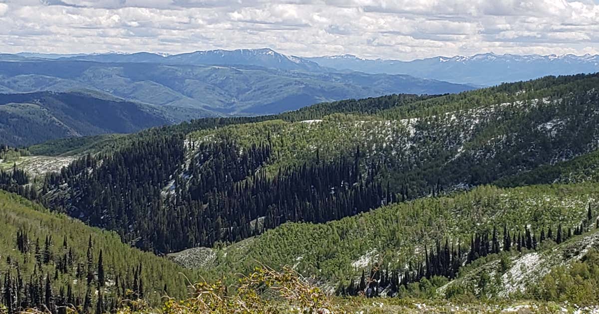 Monte Cristo Plateau Dispersed Camping, Woodruff | Roadtrippers