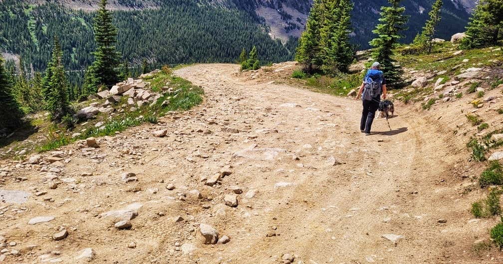 Hagerman Pass Road Dispersed Camping, Leadville | Roadtrippers