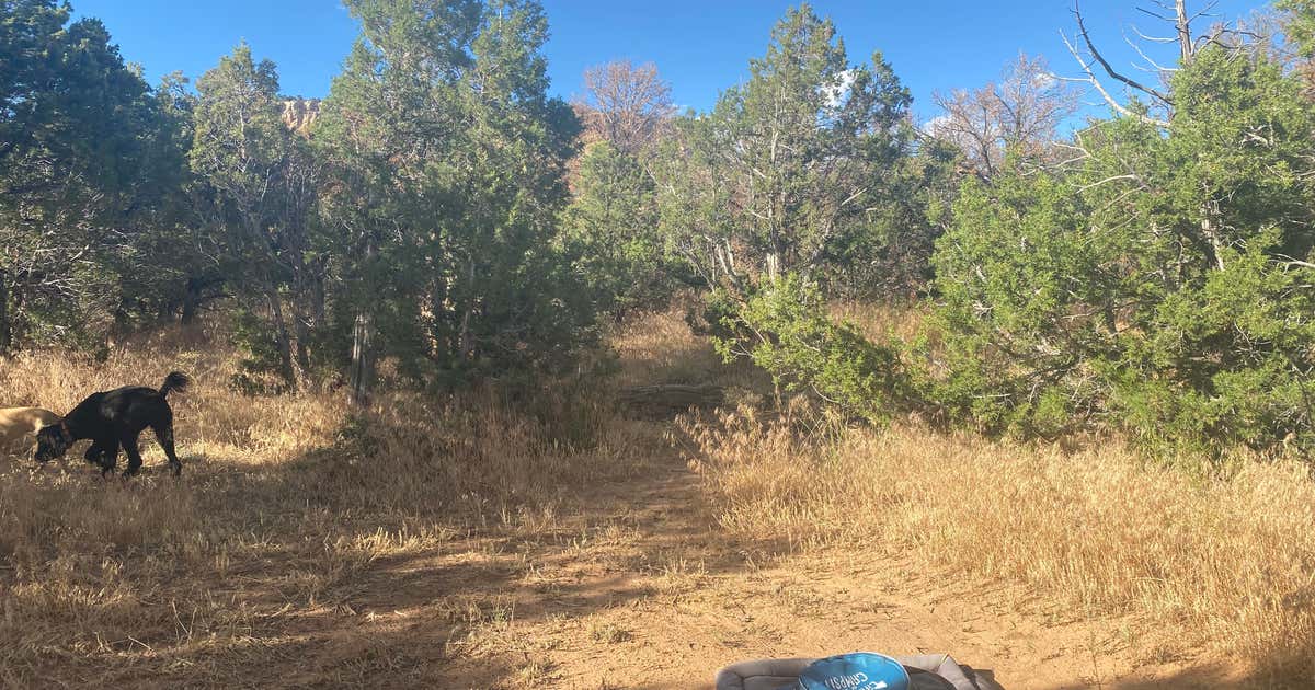 Plug Hat Butte Dispersed Camping, Dinosaur | Roadtrippers