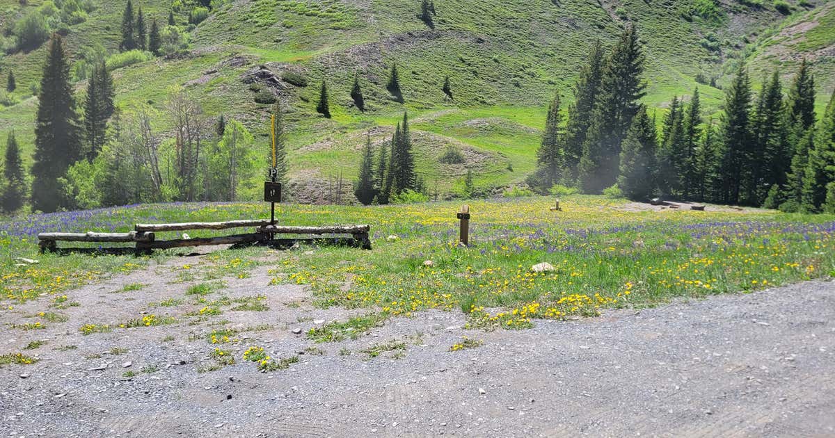 Slate River Designated Dispersed Campsite #11, Crested Butte | Roadtrippers