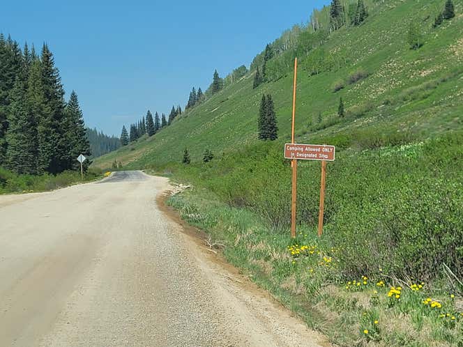 Photo of Kebler Pass Designated Dispersed Campsite #23 | Roadtrippers