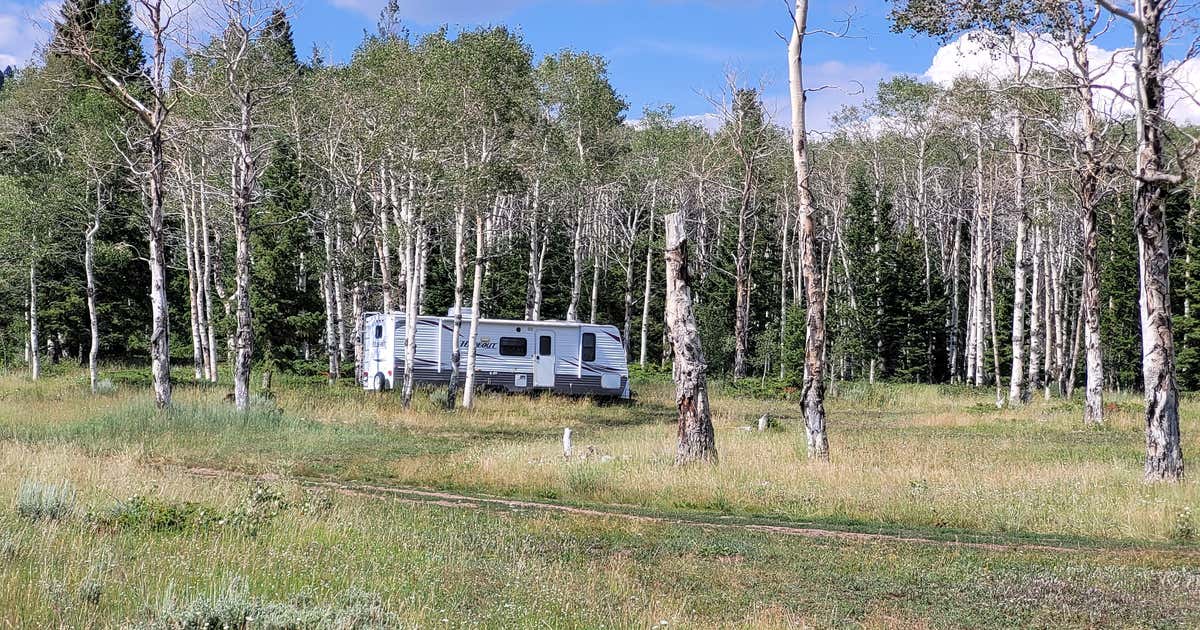 Basset Spring Dispersed Camping, Vernal | Roadtrippers