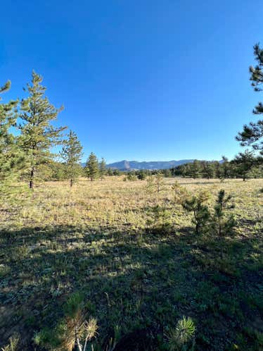 Photo of Badger Flats Dispersed Camping | Roadtrippers