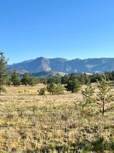 Photo of Badger Flats Dispersed Camping | Roadtrippers