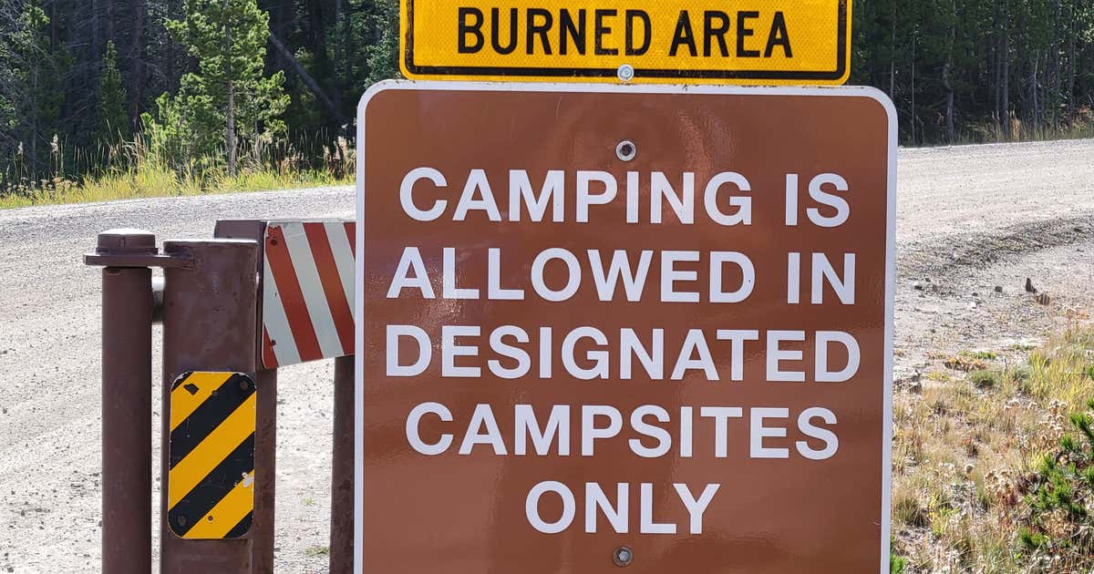 Long Draw Designated Dispersed Campsite #1-3, Bellvue | Roadtrippers
