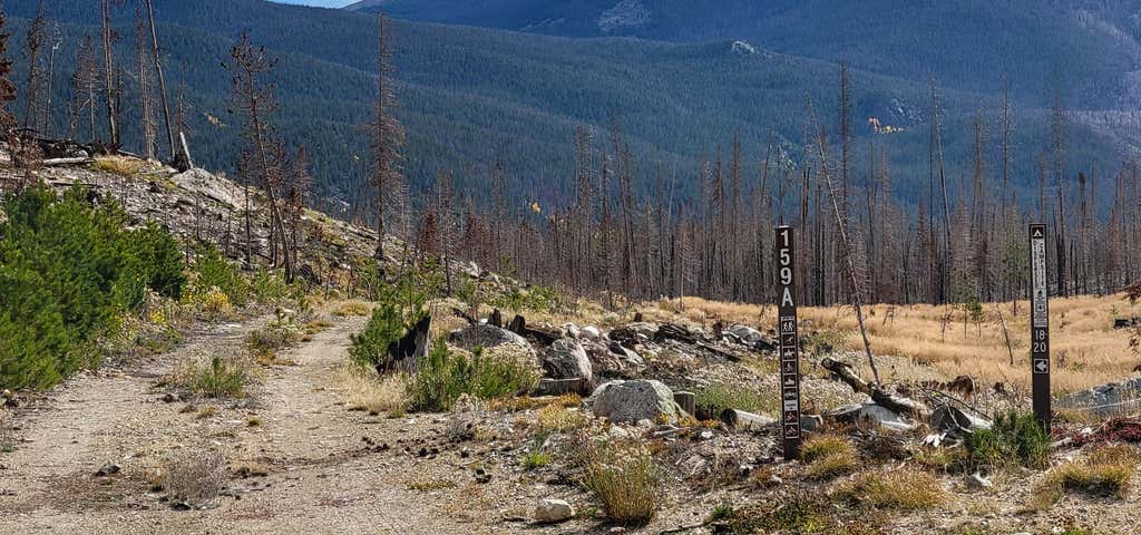 Long Draw Designated Dispersed Campsite #18-20, Bellvue | Roadtrippers