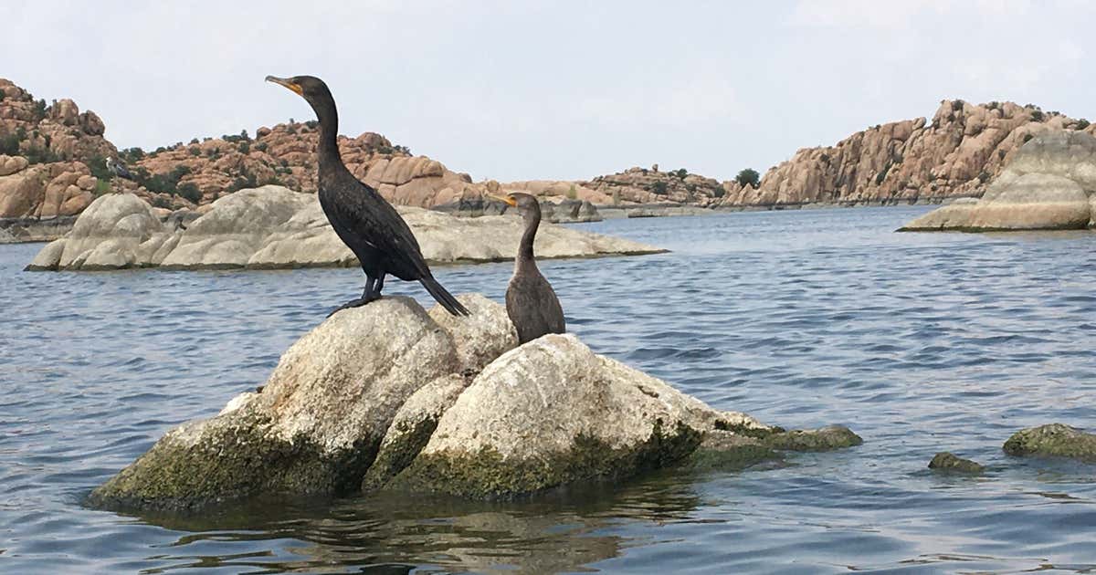 Watson Lake Park Campground, Prescott | Roadtrippers