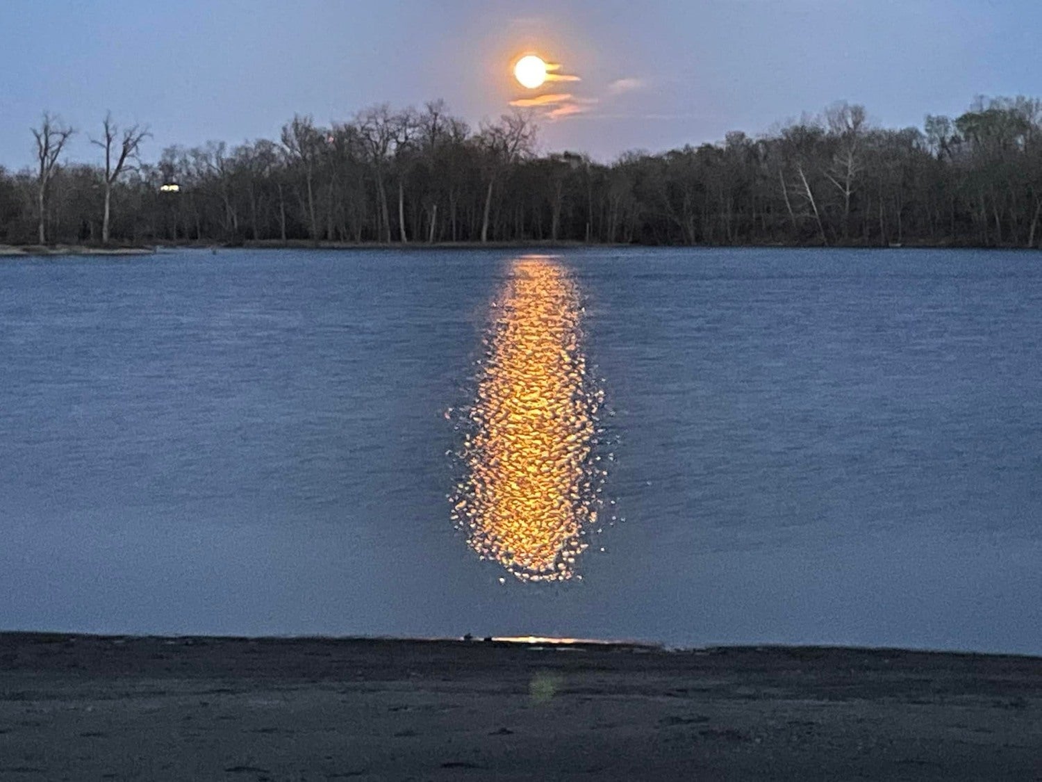 Lazy L Lake Campground Reviews & Reservations updated 2025