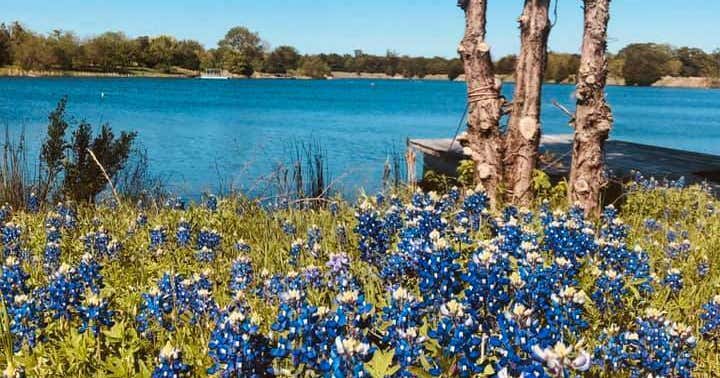 The Scuba Ranch, Terrell | Roadtrippers