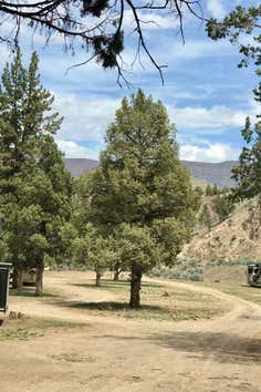 Photo of Burnt Ranch Road (Bridge Creek) Dispersed Camping | Roadtrippers
