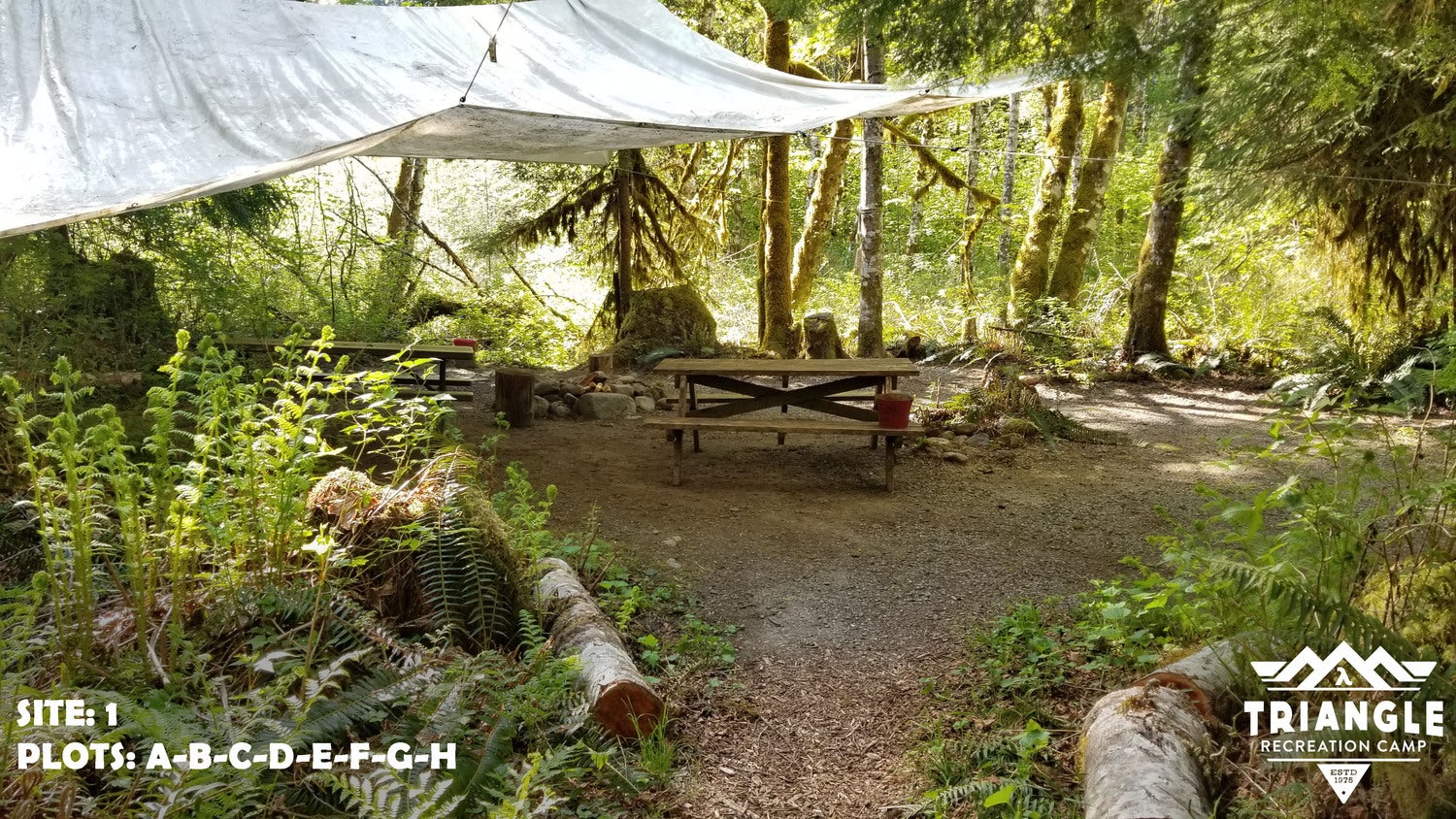 Triangle Recreation Camp & Reservations updated 2025