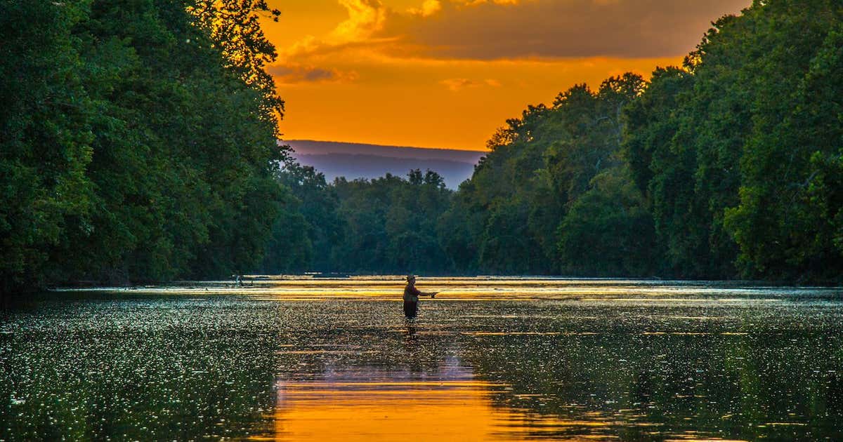 North Fork Resort Association (RV Park), Front Royal | Roadtrippers