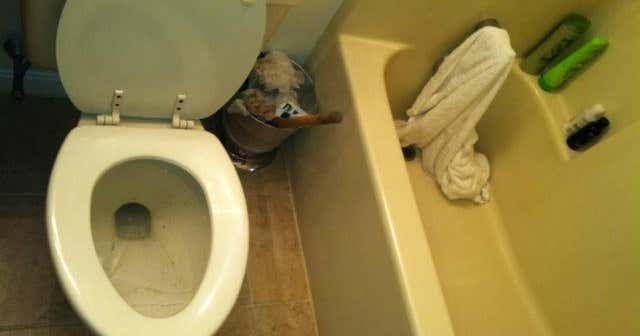 Winterplace at Okemo, Ludlow | Roadtrippers