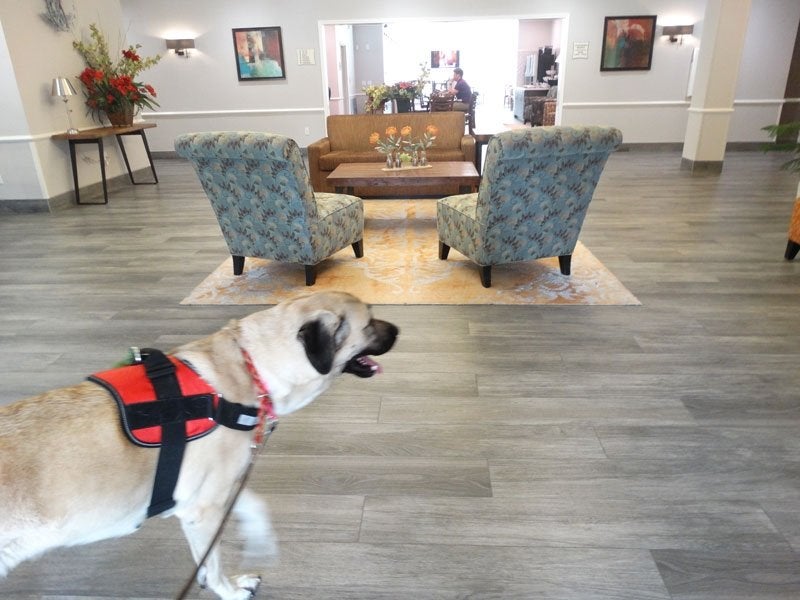 Spark by Hilton Houston West Clay Road, Houston | Roadtrippers