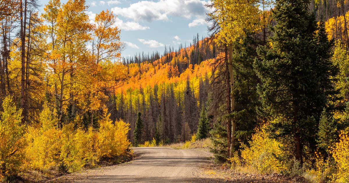 Bachelor Loop, Colorado | Roadtrippers