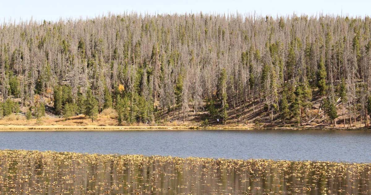 Bridger Lake Campground, Utah | Roadtrippers