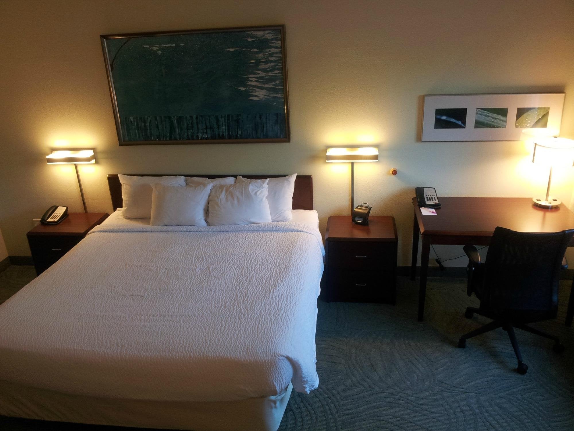 SpringHill Suites by Marriott Raleigh-Durham Airport/Research Triangle ...