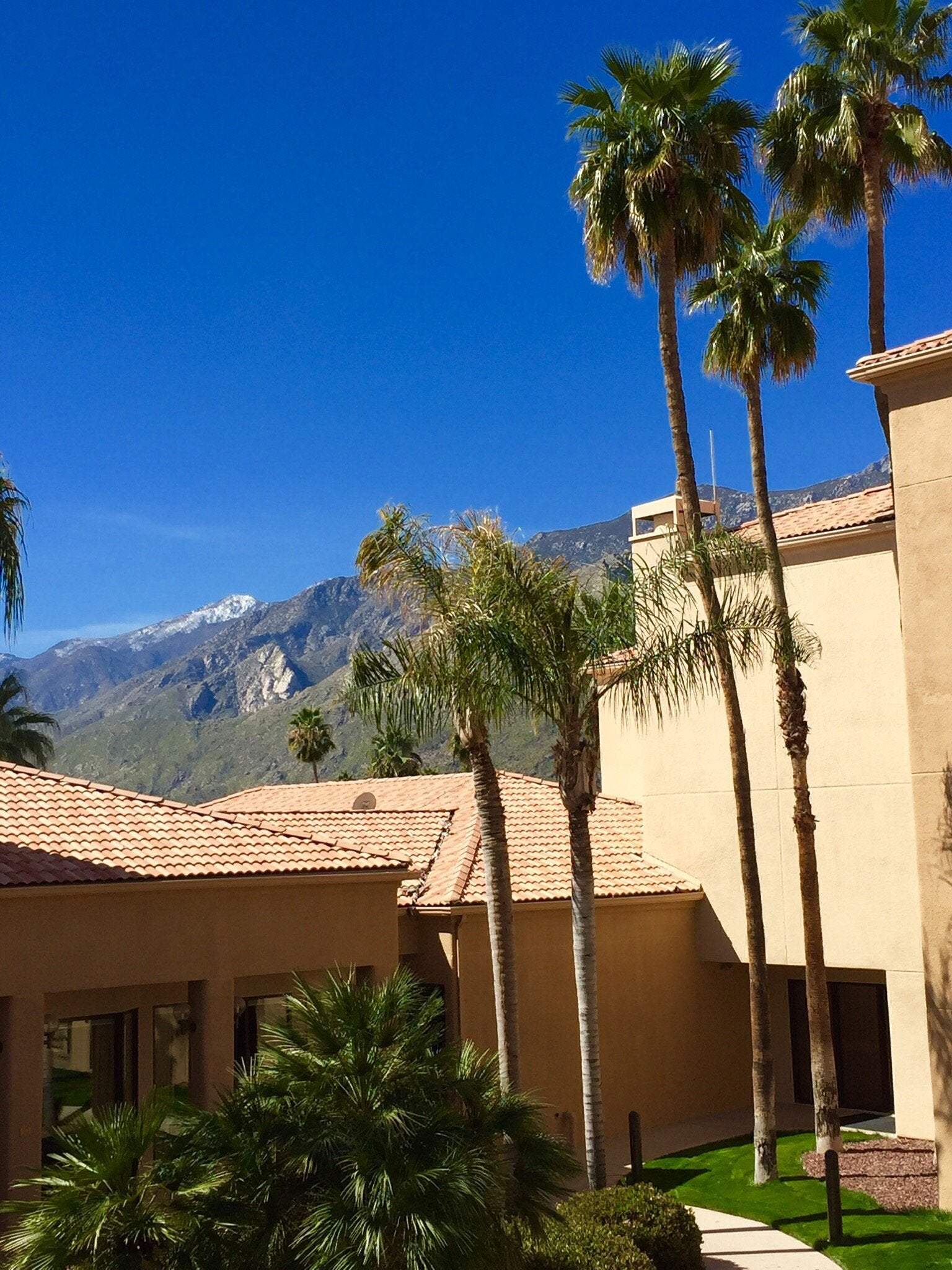 Courtyard by Marriott Palm Springs, Palm Springs | Roadtrippers
