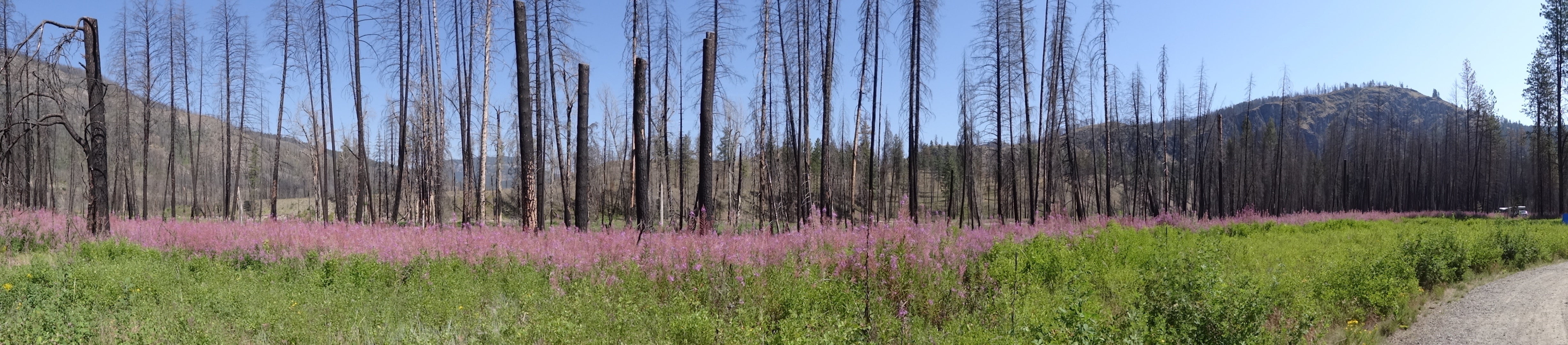 Kettle River Recreation Area, British Columbia | Campendium