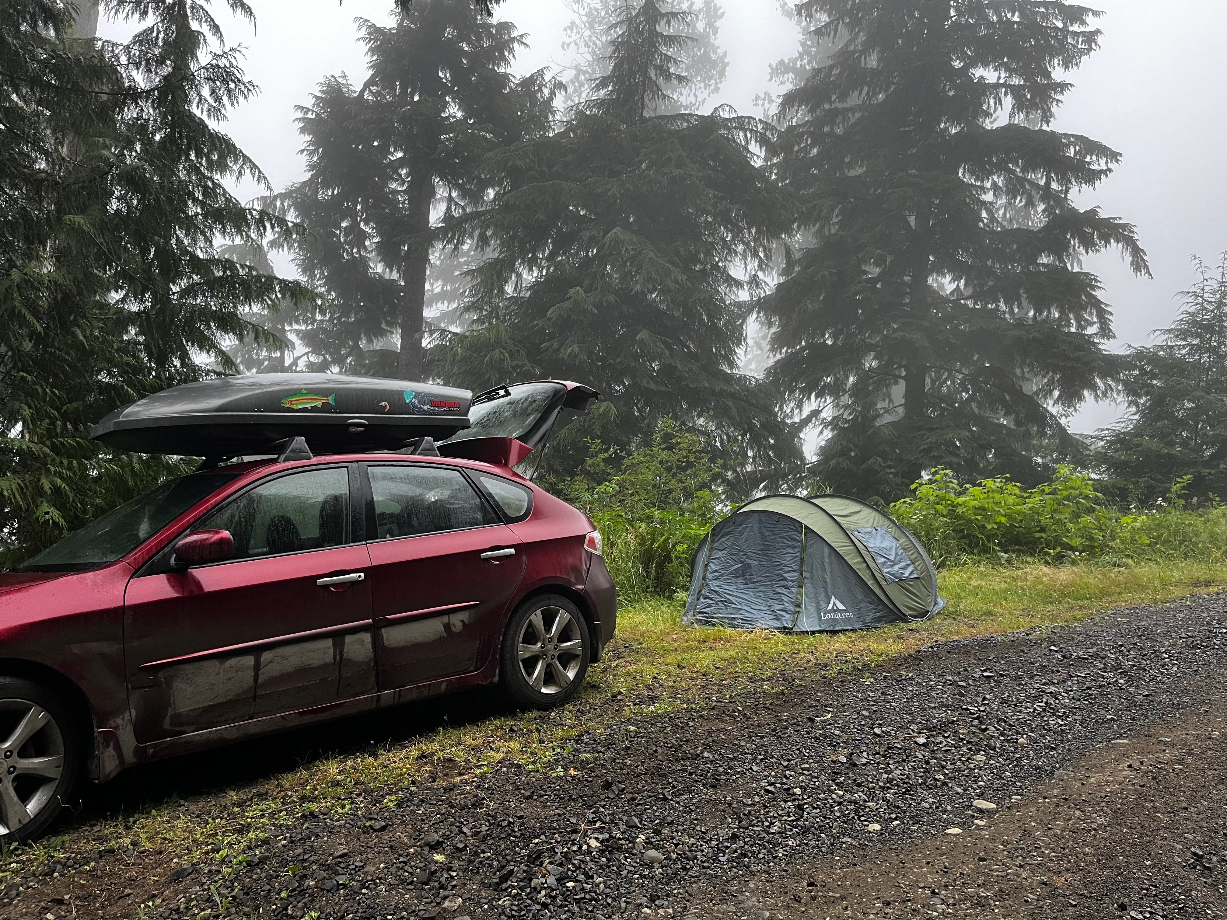 Quinault Ridge Road Dispersed Camping, Quinault | Campendium