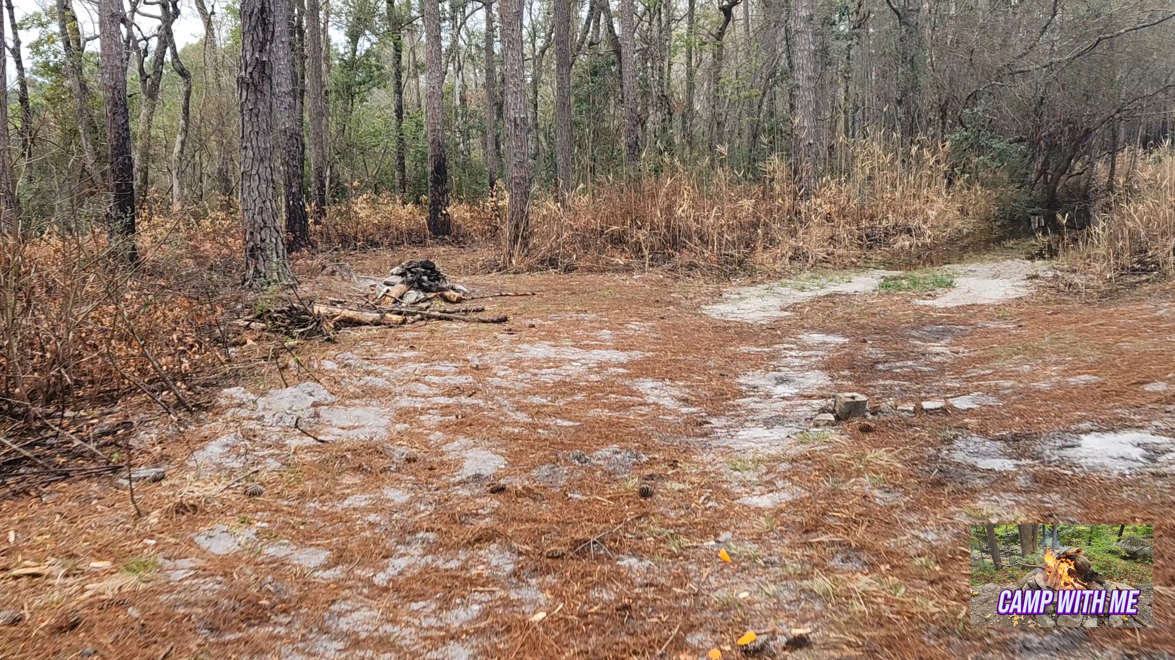 Croatan Puddle Dispersed Camping, Newport | Roadtrippers