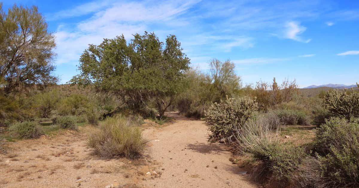 Coon Bluff Campground, Mesa | Roadtrippers