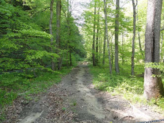 Photo of Kanawha State Forest | Roadtrippers