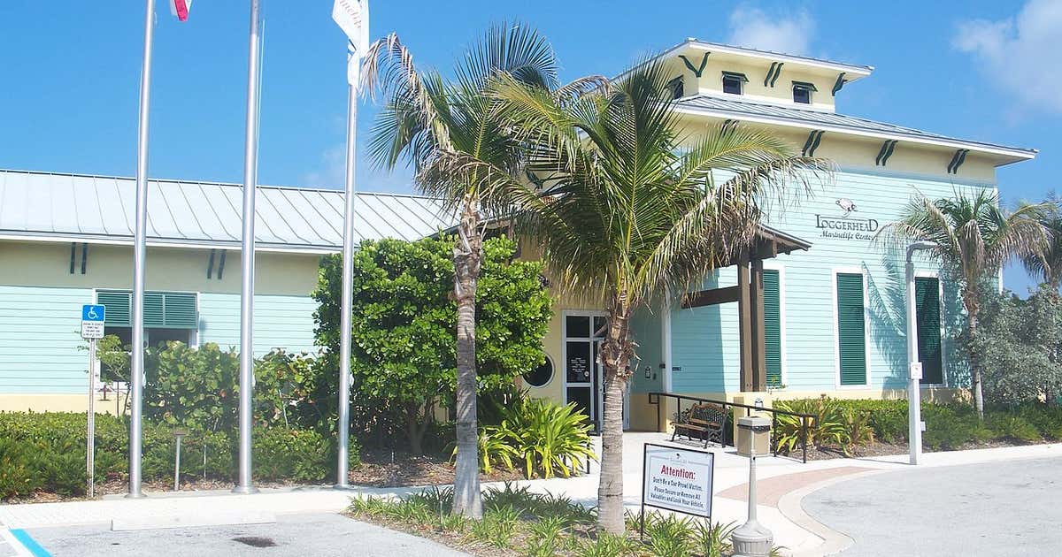 Loggerhead Marinelife Center, Juno Beach | Roadtrippers