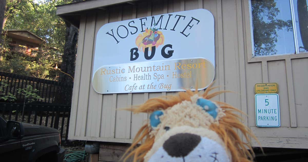 Yosemite Bug Rustic Mountain Resort, Midpines | Roadtrippers