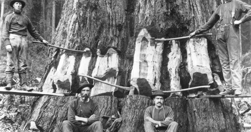 Blind Slough Logging Camp, Astoria | Roadtrippers