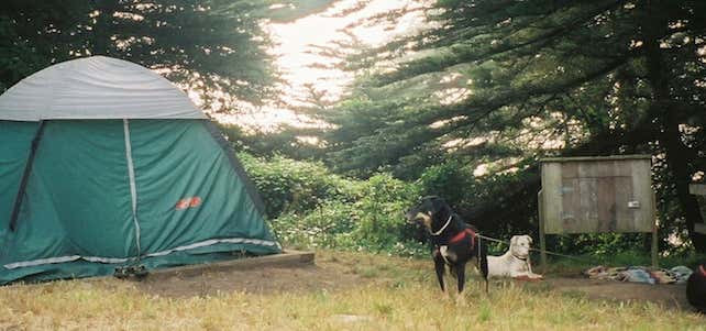 Silver Creek Marsh Campground, Silver Lake | Roadtrippers