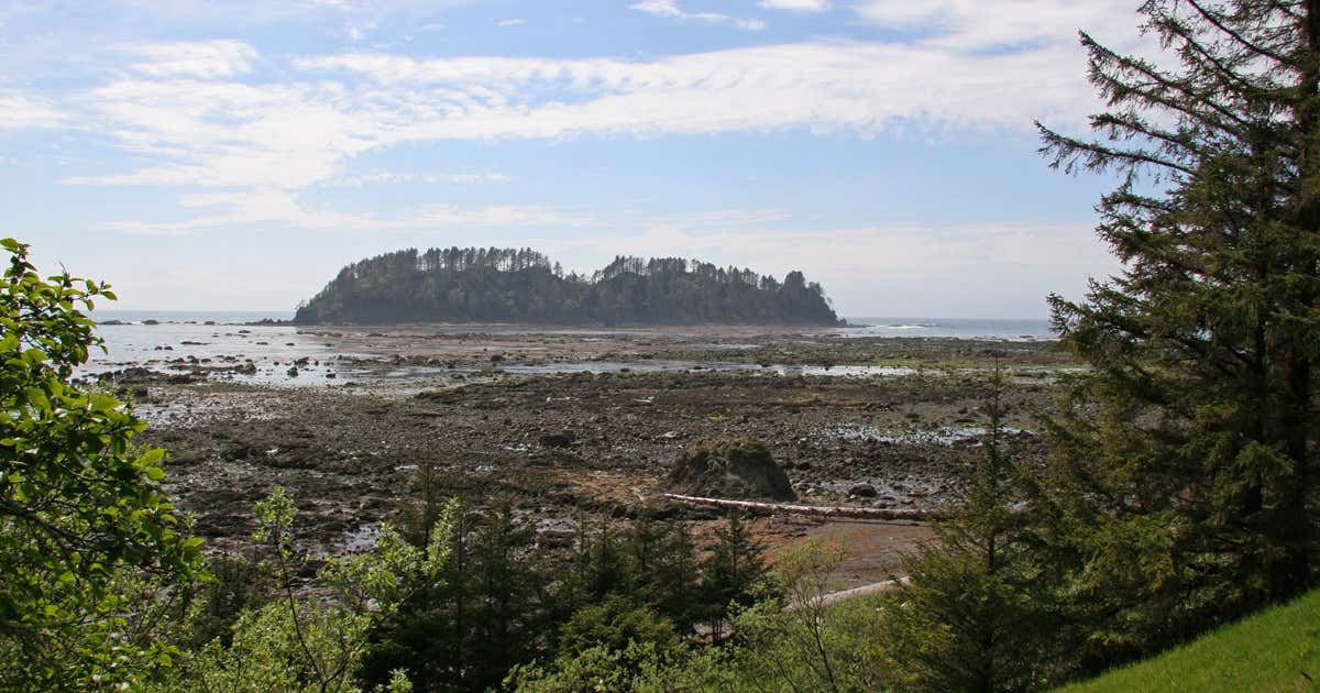 Cape Alava, Washington | Roadtrippers