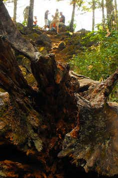 Photo of Prospect State Scenic Viewpoint | Roadtrippers