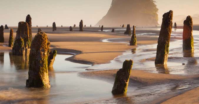 Neskowin Beach State Recreation Site, Neskowin | Roadtrippers