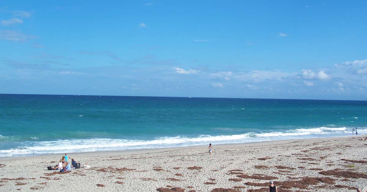 John D. MacArthur Beach State Park, North Palm Beach | Roadtrippers