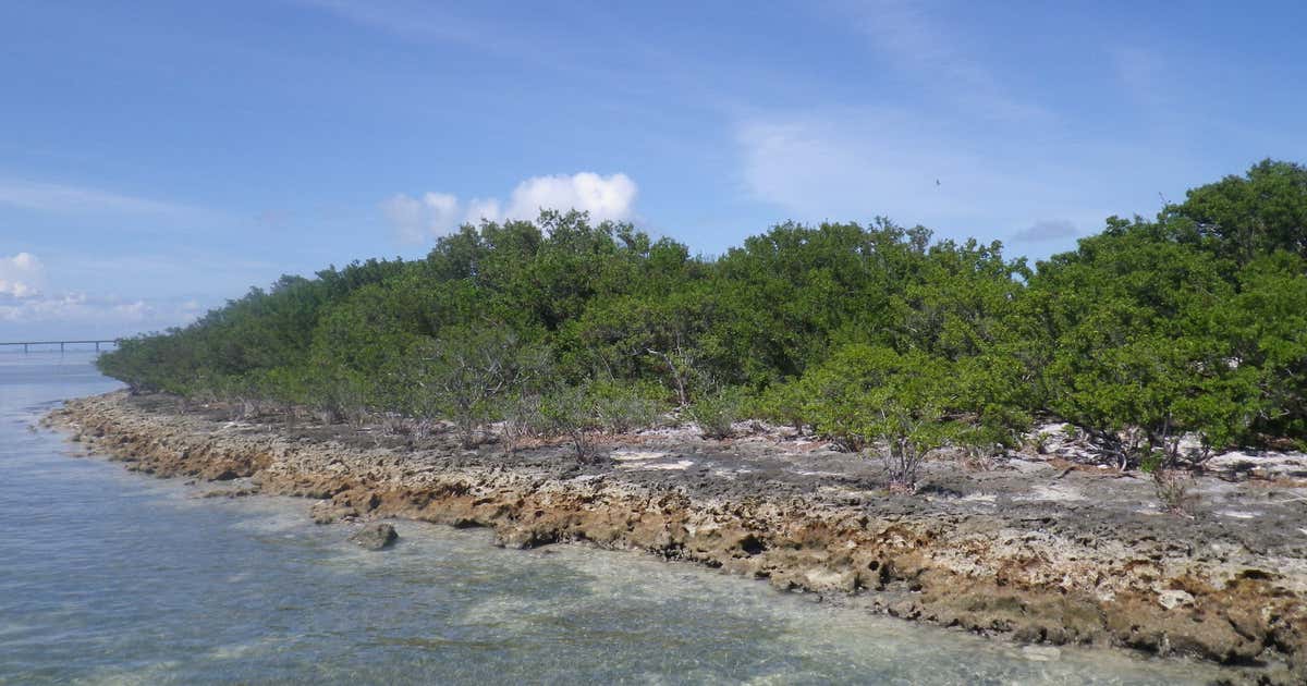 Indian Key Historic State Park, Islamorada, Village of Islands ...