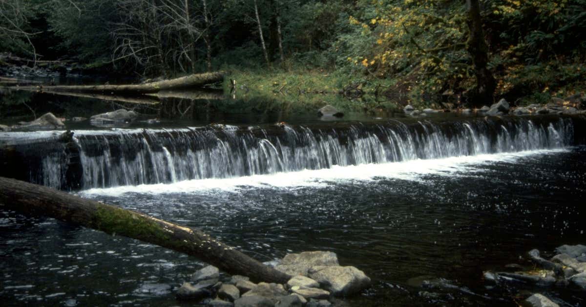 Yellowbottom Recreation Site, Oregon | Roadtrippers