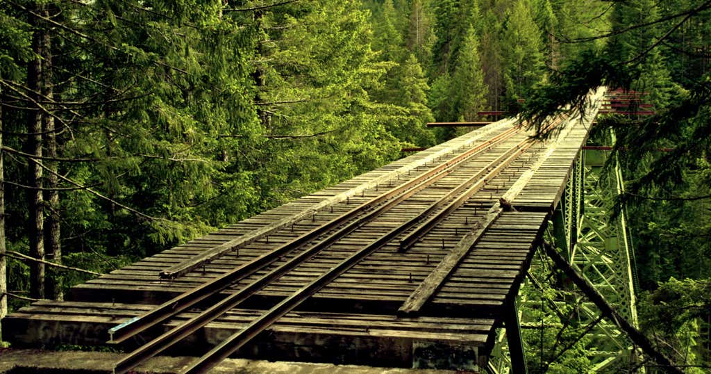 Vance Creek Viaduct Trail, Shelton | Roadtrippers