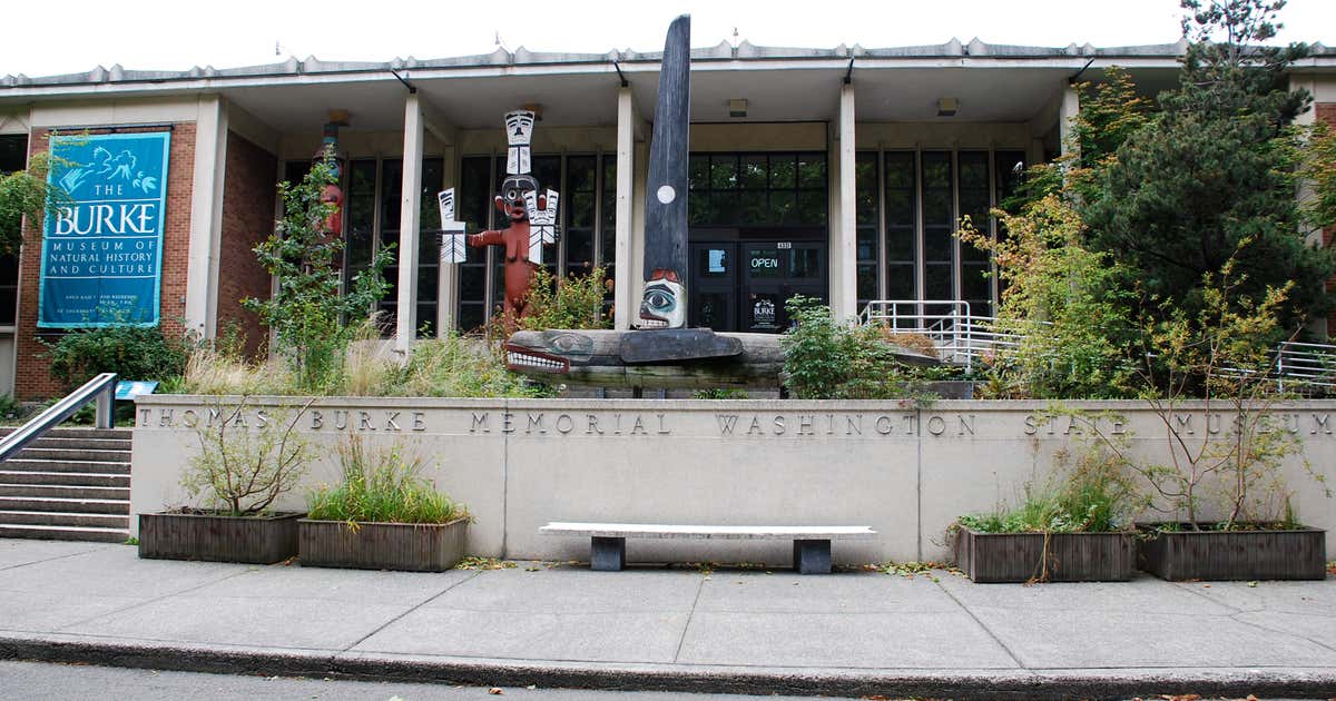 Burke Museum of Natural History and Culture, Seattle | Roadtrippers