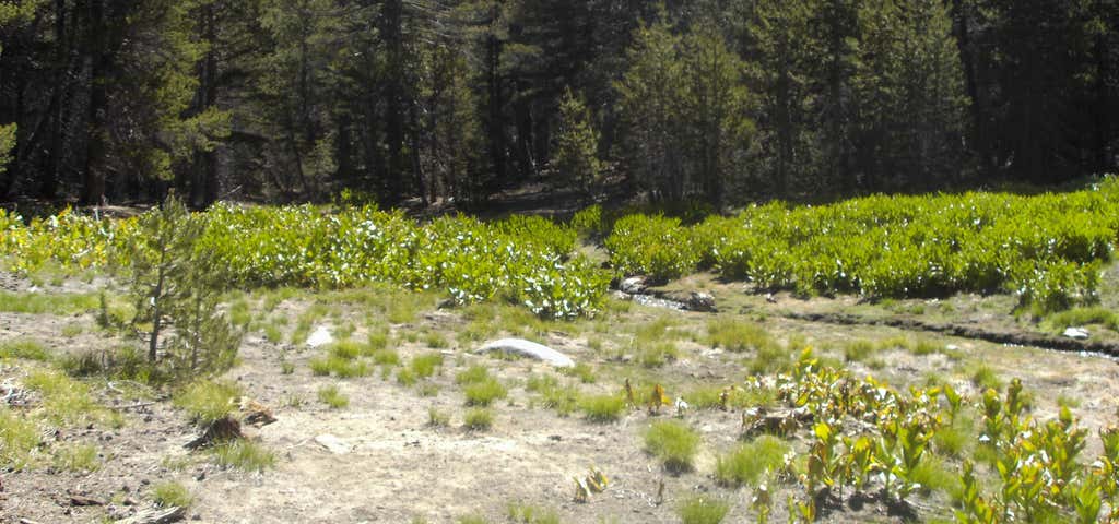 Strawberry Campground, Strawberry Valley | Roadtrippers