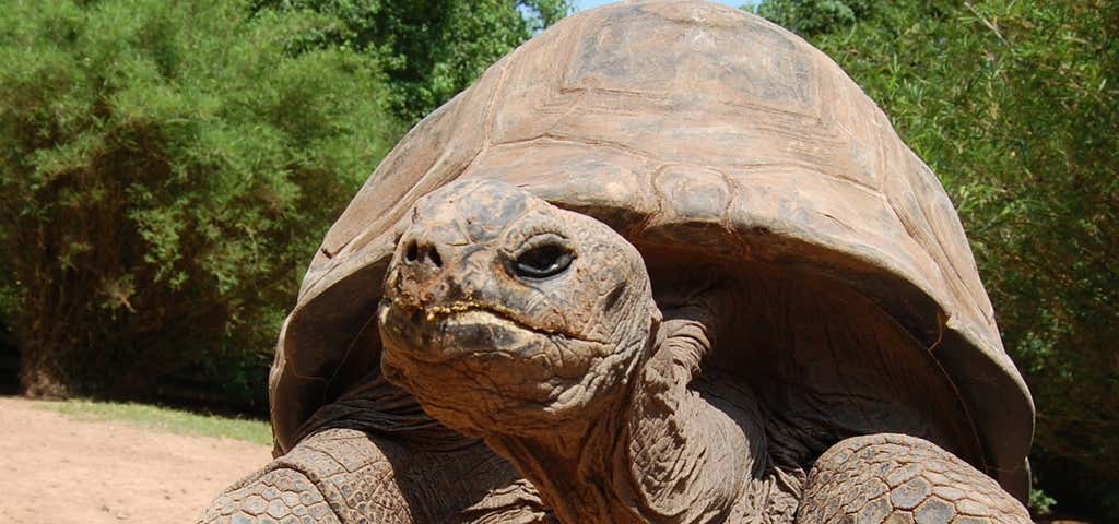 Alexandria Zoological Park, Alexandria | Roadtrippers