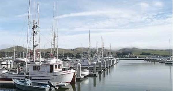 Spud Point Marina, Bodega Bay | Roadtrippers