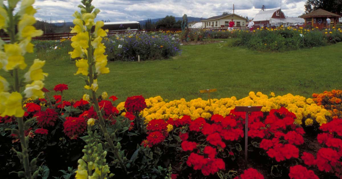 Georgeson Botanical Garden, Fairbanks | Roadtrippers