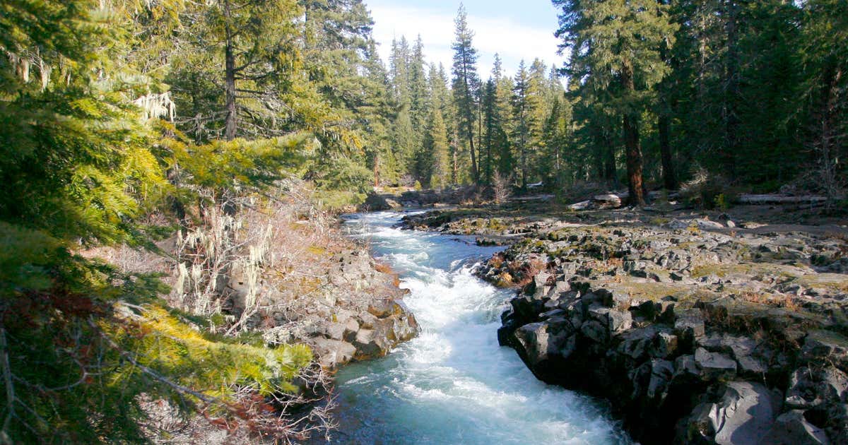 River Bridge Campground, Prospect | Roadtrippers