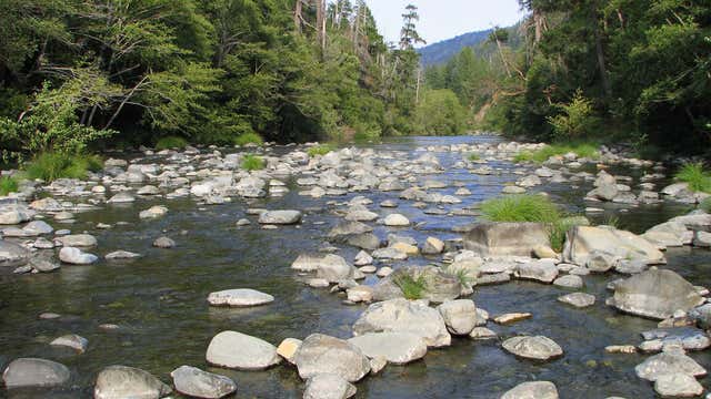 Are Dogs Allowed In Smith River National Recreation Area